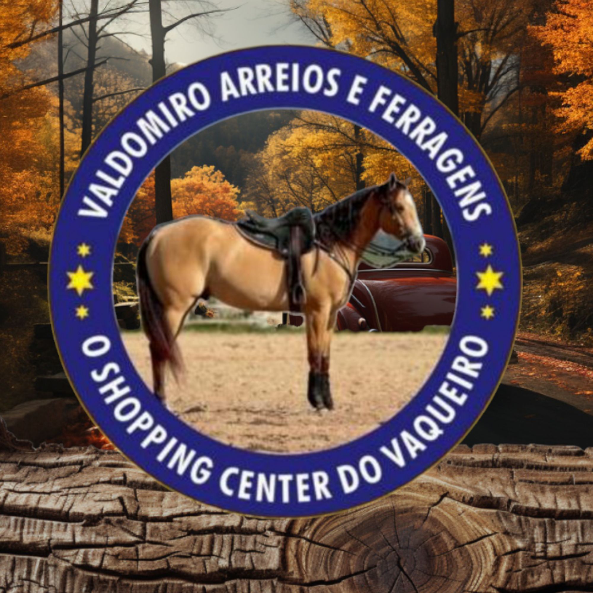 Selaria shopping do vaqueiro , Loja Online | Shopee Brasil