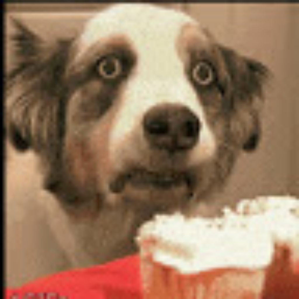 Master Store SP, Loja Online | Shopee Brasil