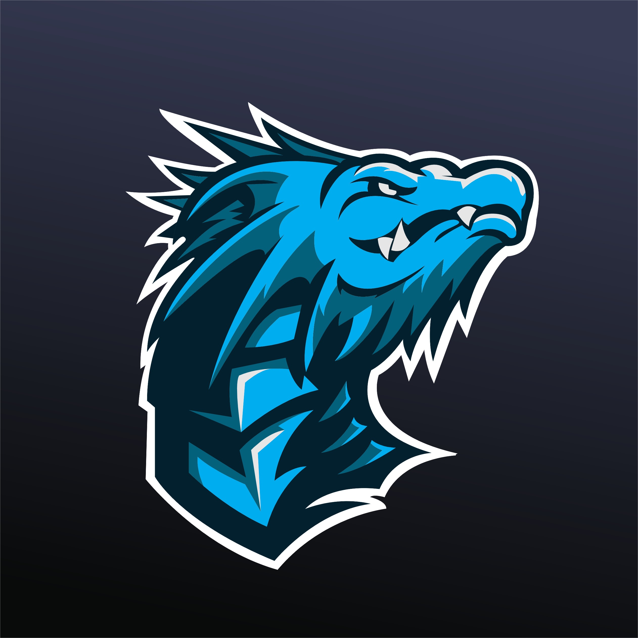 Leviathan-STORE, Loja Online | Shopee Brasil