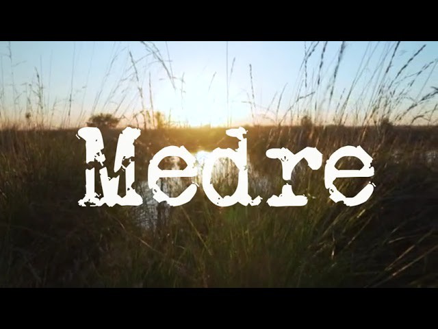 Medre, Loja Online | Shopee Brasil
