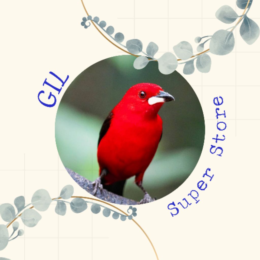 Gil Super Store, Loja Online | Shopee Brasil