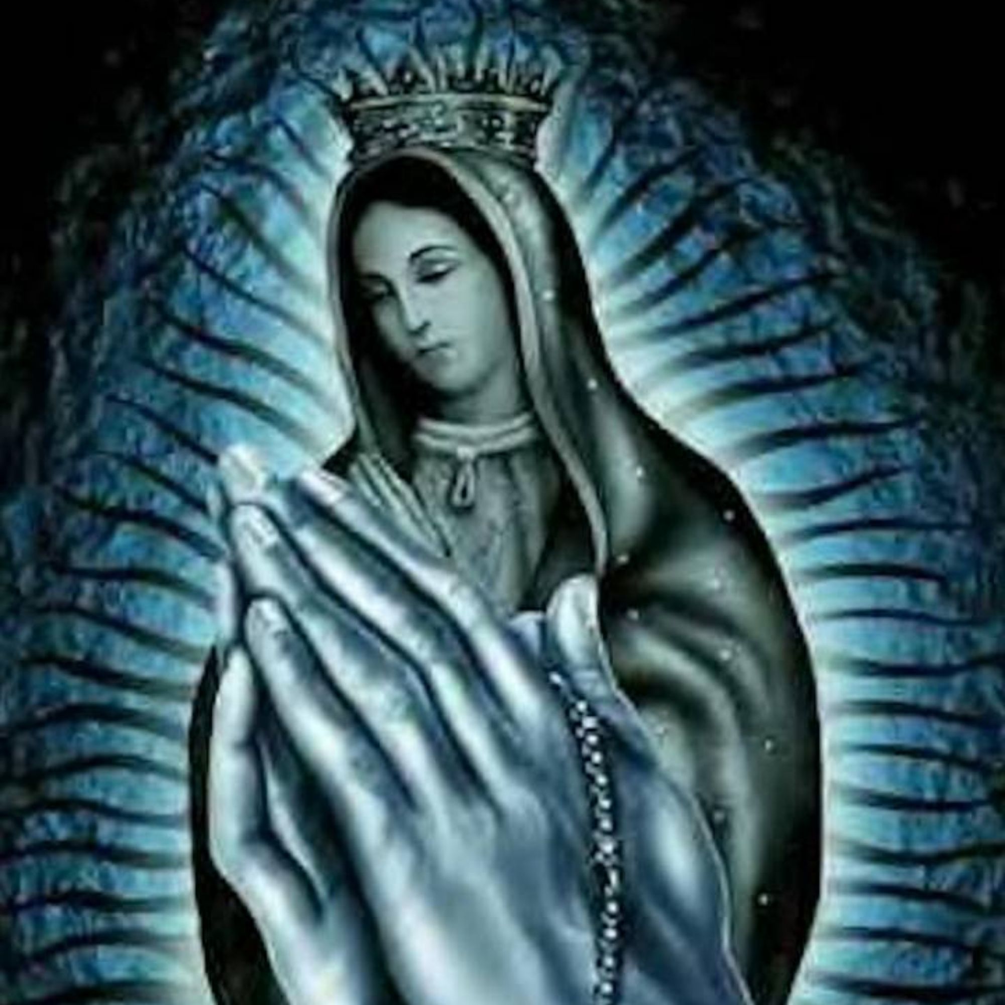 Akynos collection, Loja Online | Shopee Brasil