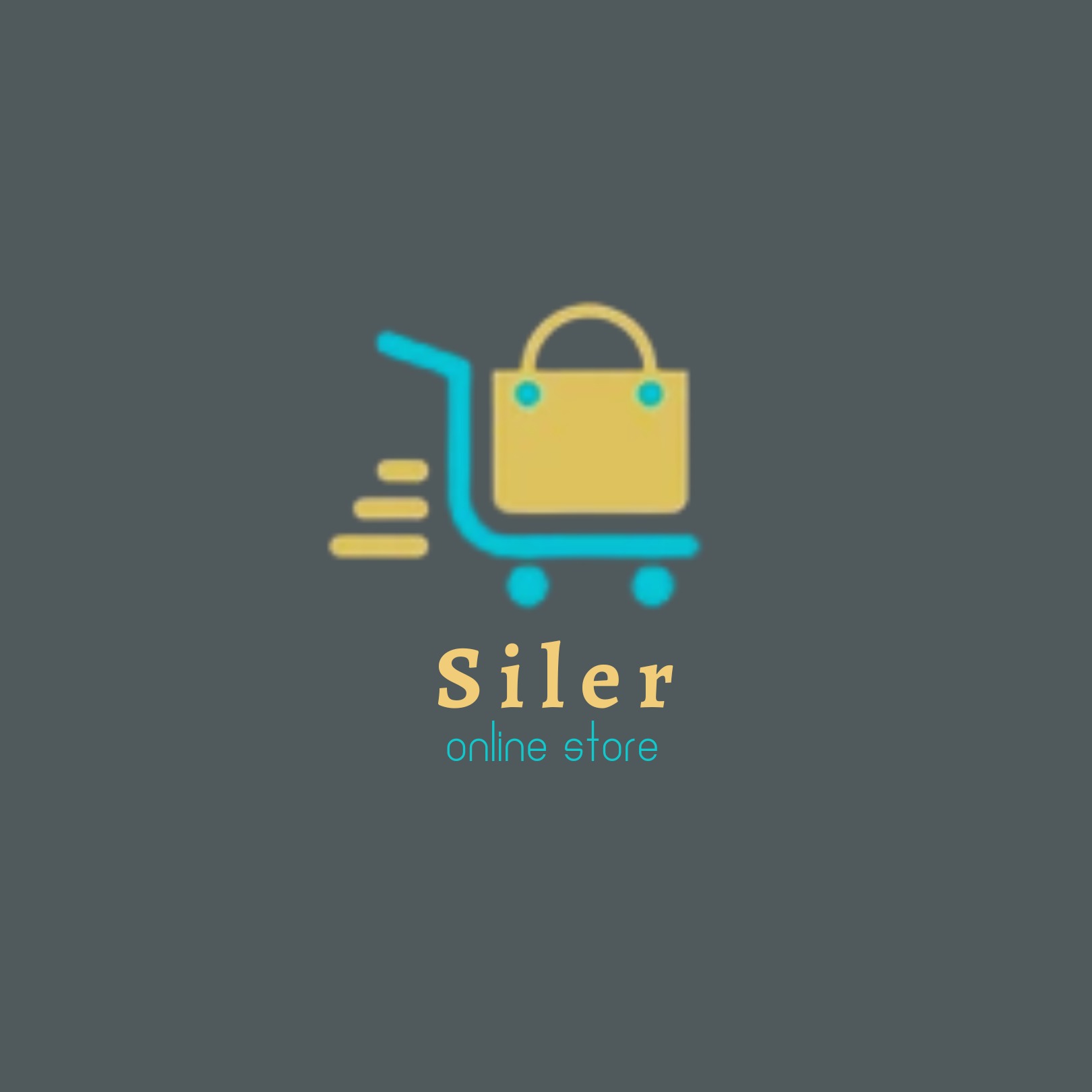 Siler Store, Loja Online | Shopee Brasil