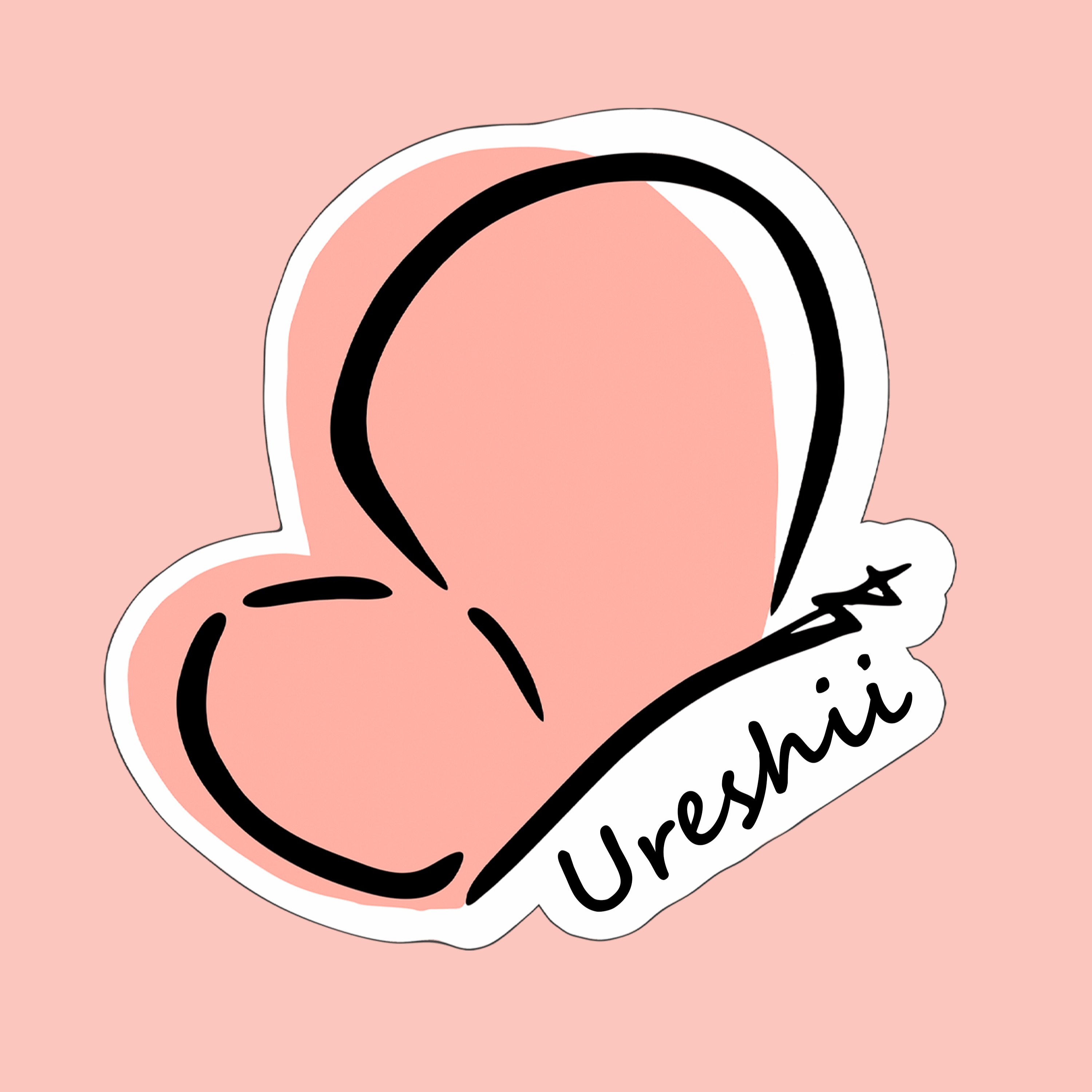 Ureshii Store, Loja Online | Shopee Brasil
