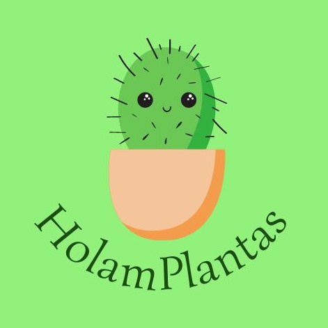 Holam_Produtos, Loja Online | Shopee Brasil