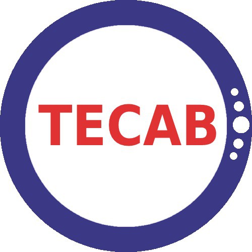 TECAB CABOS E PEÇAS PARA VEÍCULOS, Loja Online | Shopee Brasil
