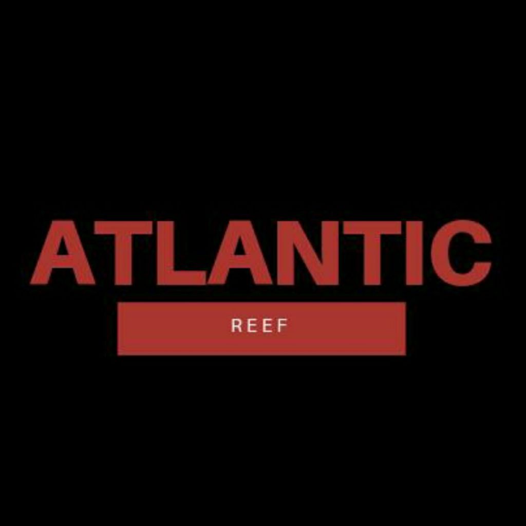 ATLANTIC REEF, Loja Online | Shopee Brasil