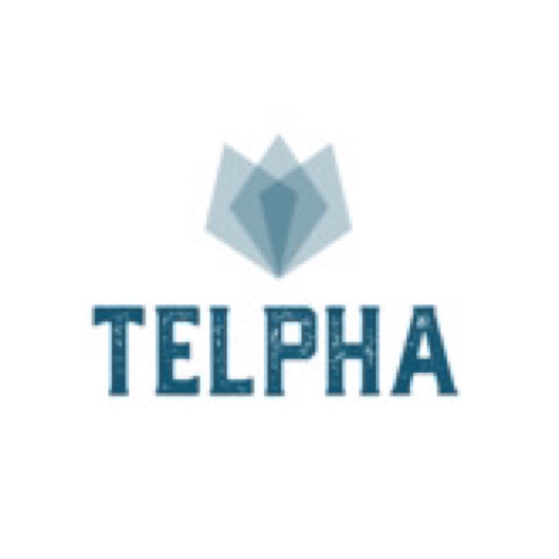 Telpha company, Loja Online | Shopee Brasil