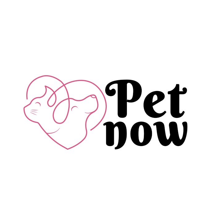 Pet Now, Loja Online | Shopee Brasil