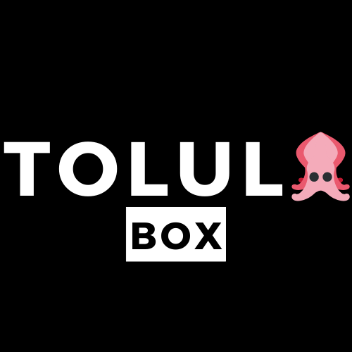 tolulabox, Loja Online | Shopee Brasil