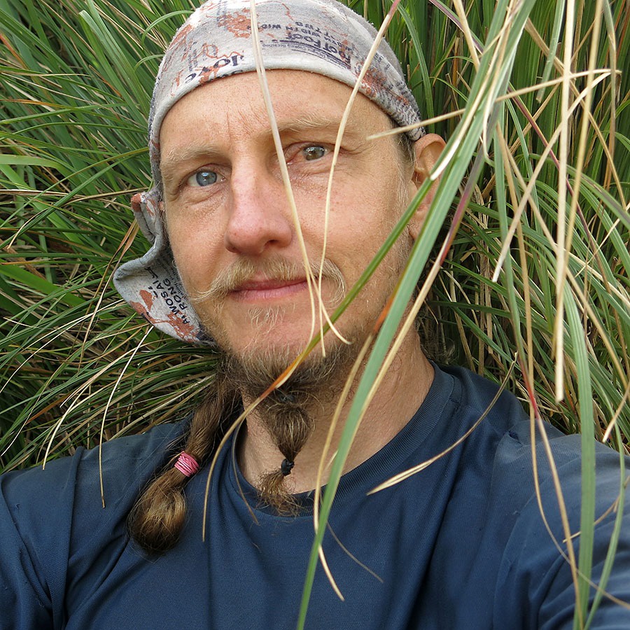 Tacio Philip - moedas, Loja Online | Shopee Brasil