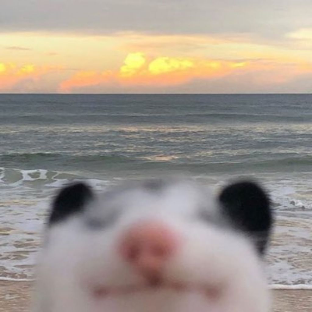 jumayumin, Loja Online | Shopee Brasil