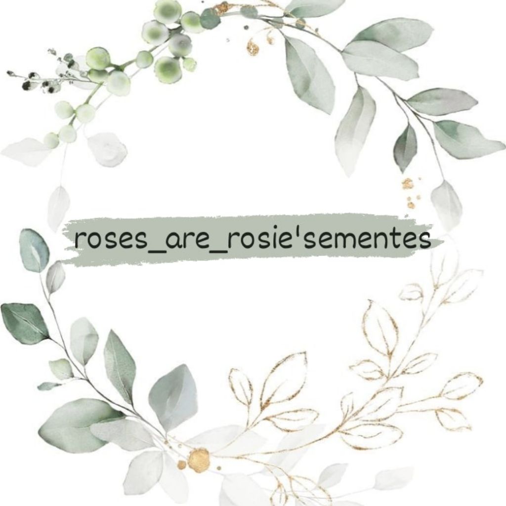 roses_are_rosie'sementes, Loja Online | Shopee Brasil