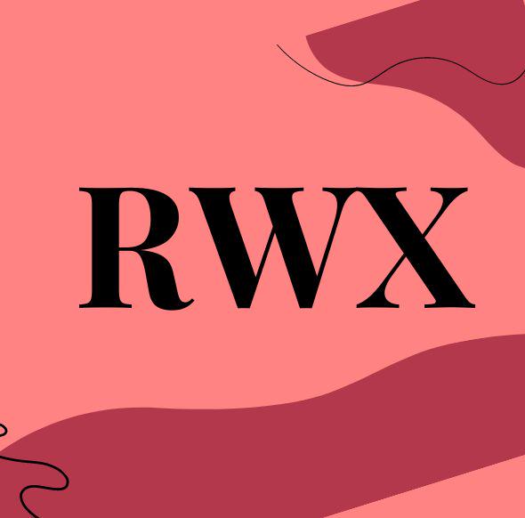 Rwx.Stored, Loja Online | Shopee Brasil