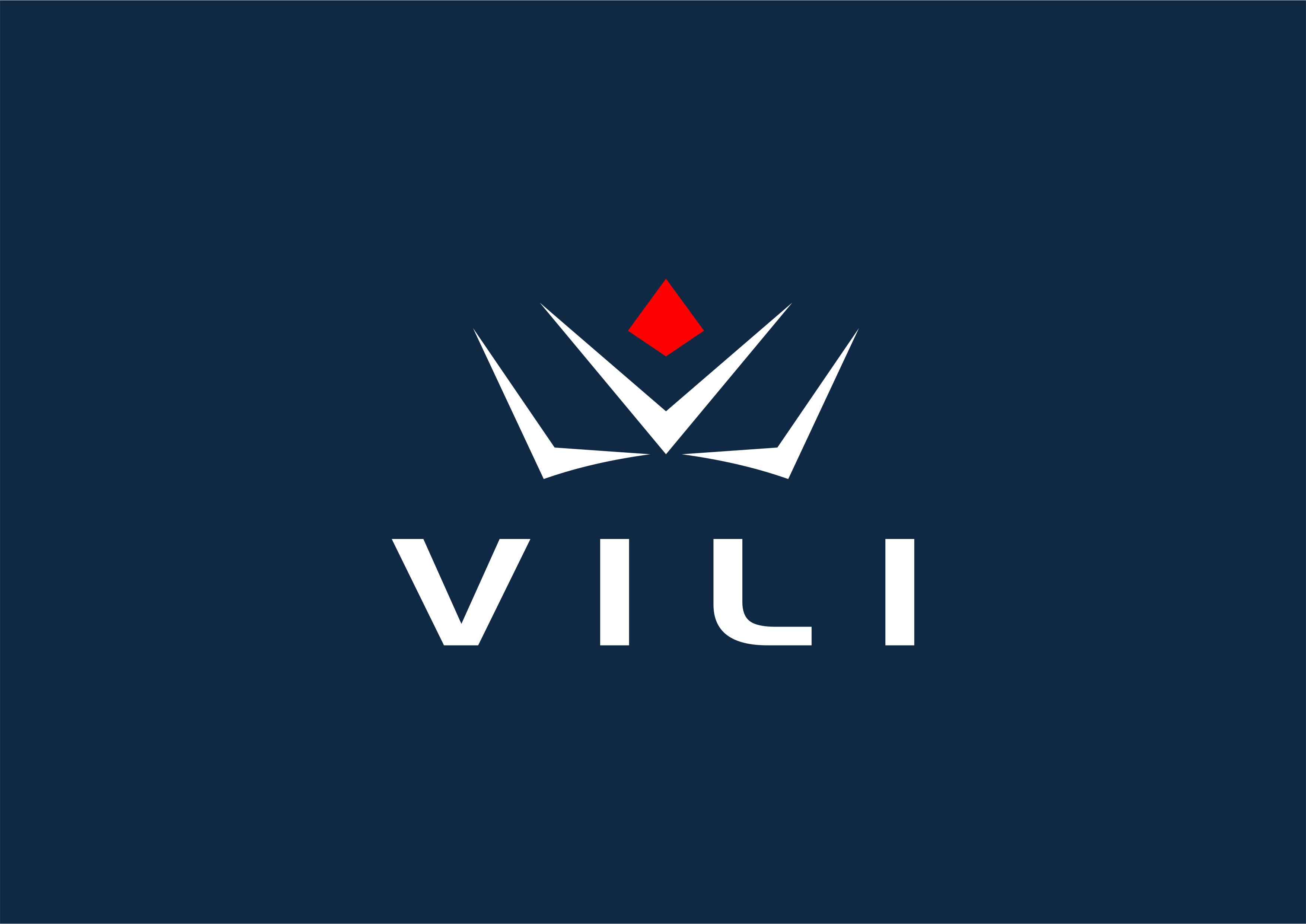 Vili Calçados | Loja Oficial | Shopee Brasil 2025