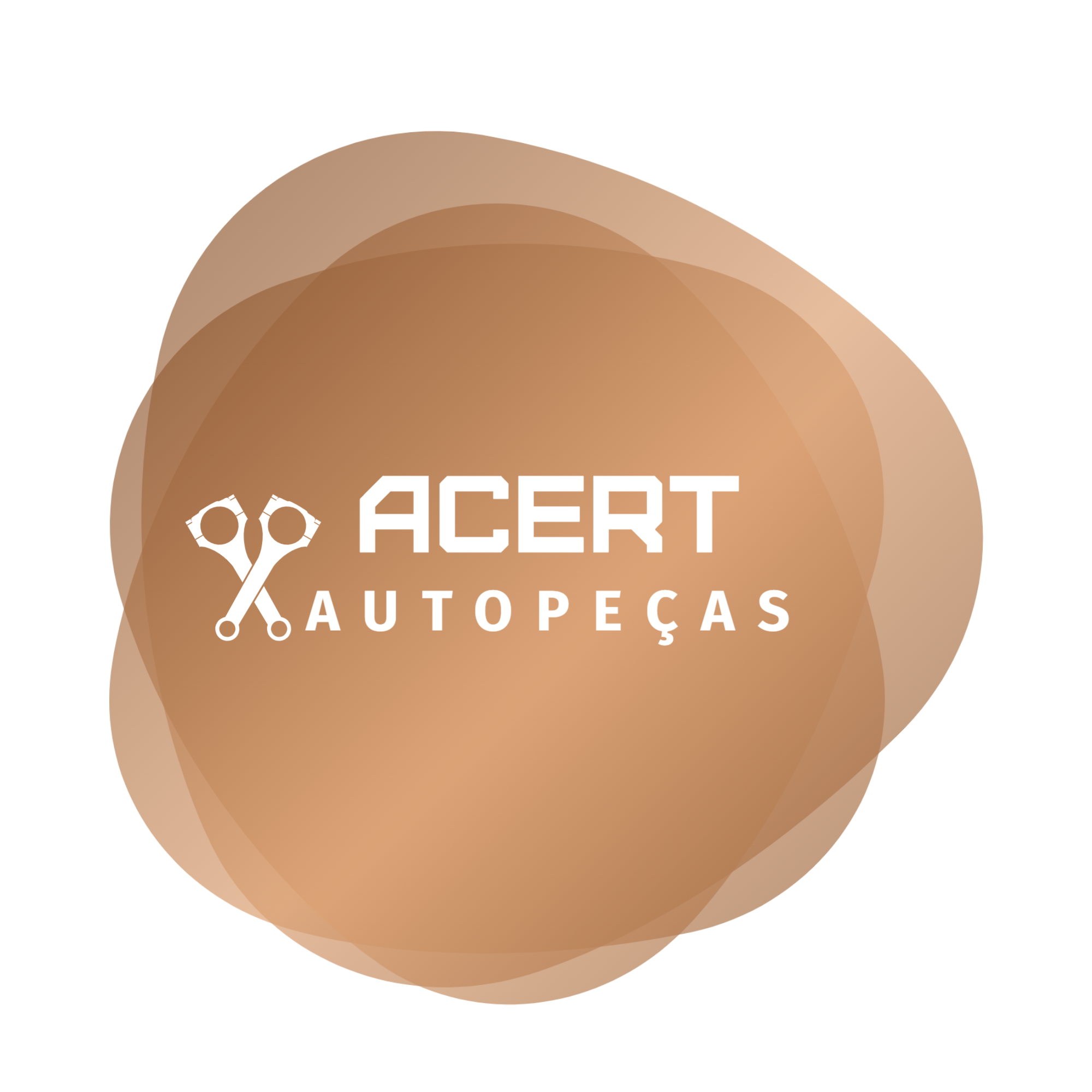 ACERT AUTOPEÇAS, Loja Online | Shopee Brasil